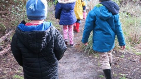 About - Mount Martha Preschool
